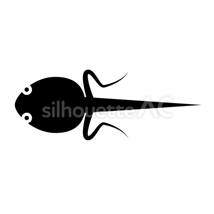 Tadpoles 111867 - Free Download - silhouetteAC